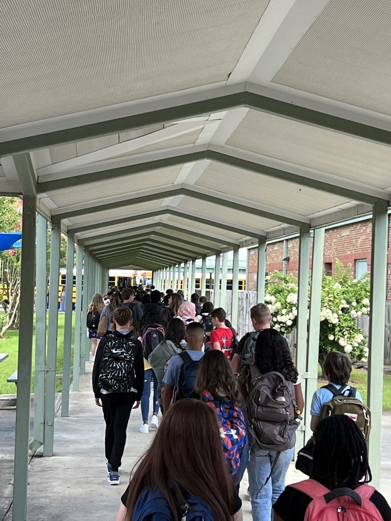 Live Feed | Cass Middle School